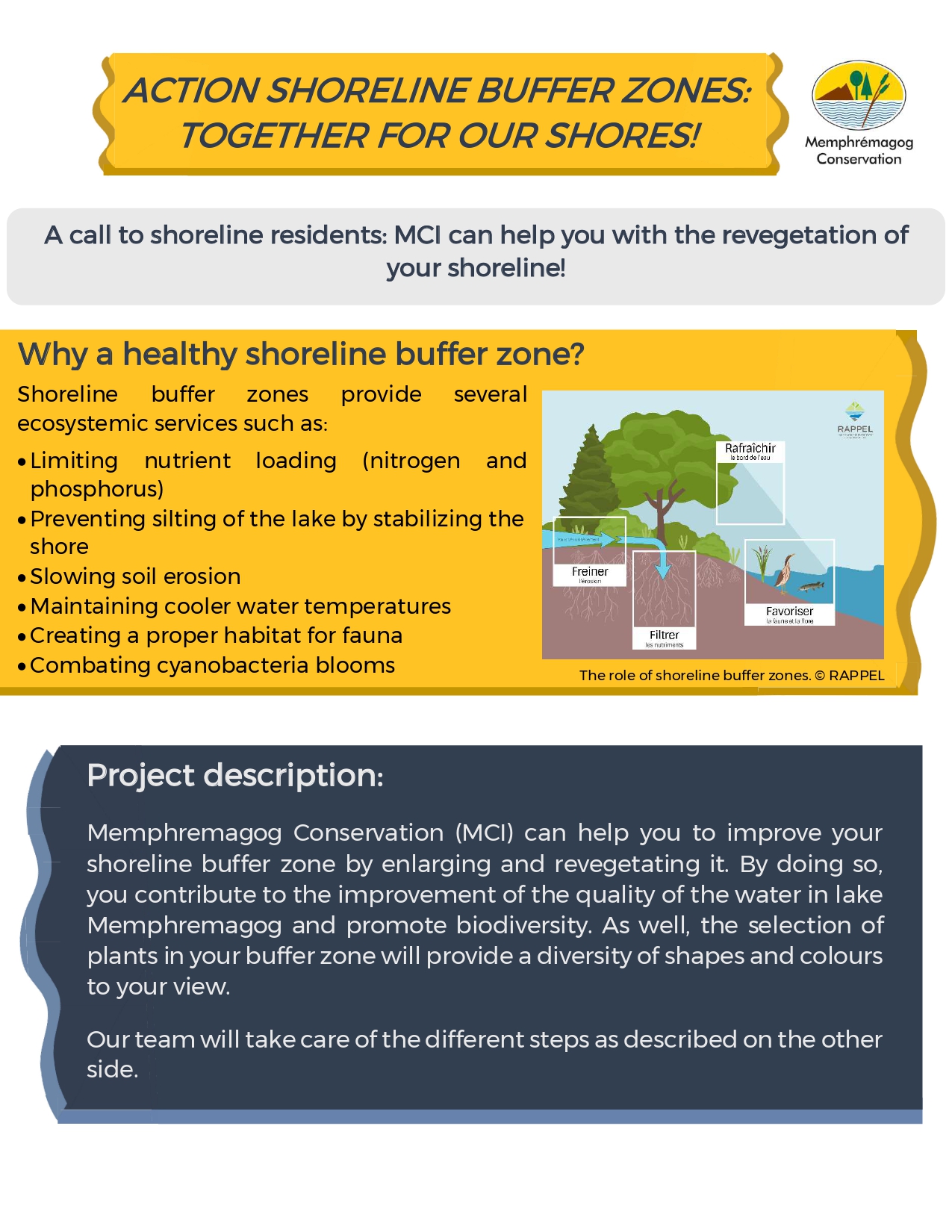 Shoreline buffer zones - Memphémagog Conservation